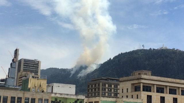 Recomendaciones para prevenir incendios forestales | Bogota.gov.co